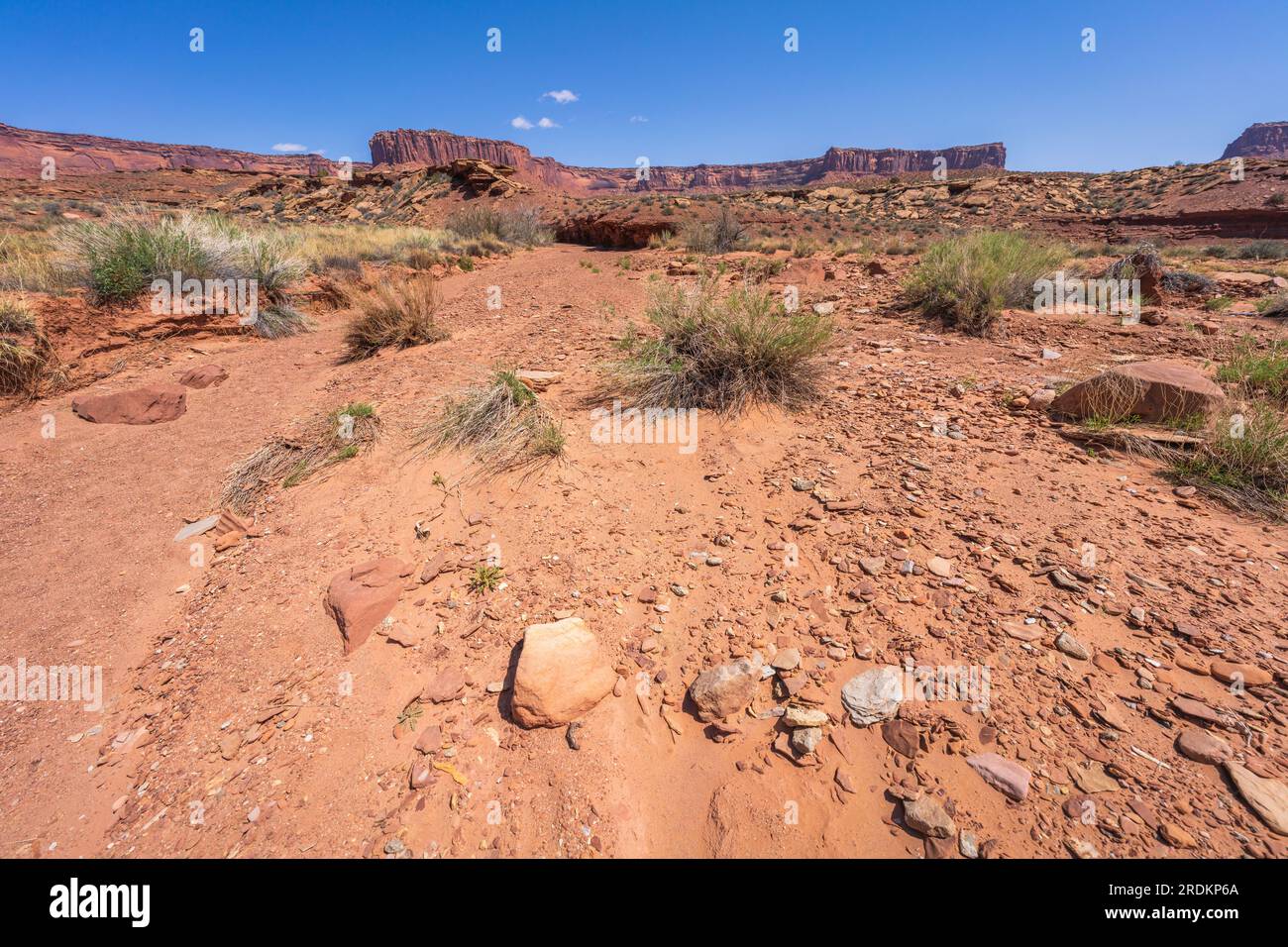 hiking the murphy trail loop in the island in the sky in canyonlands ...