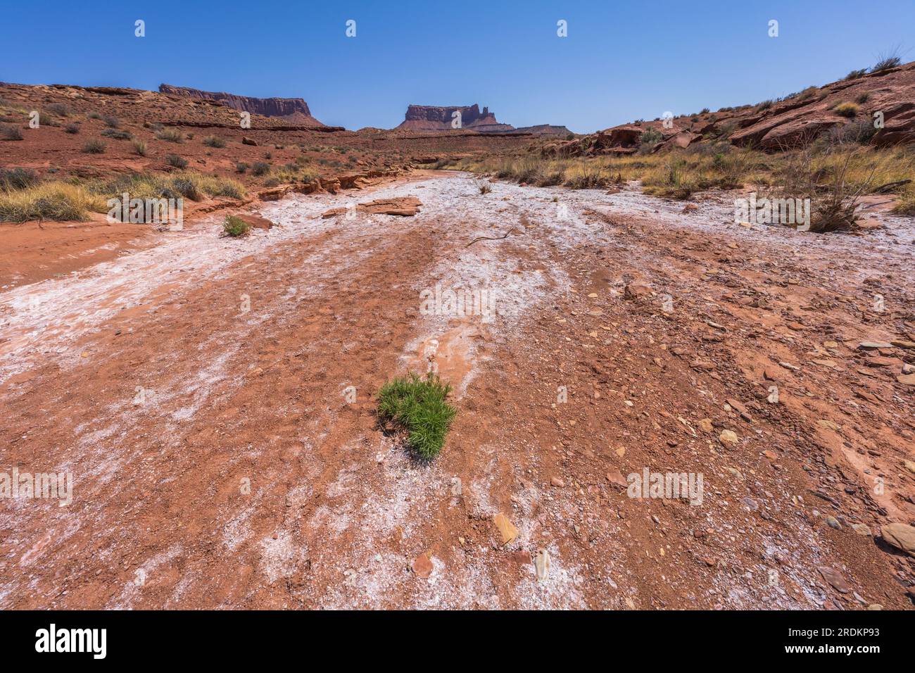 hiking the murphy trail loop in the island in the sky in canyonlands ...