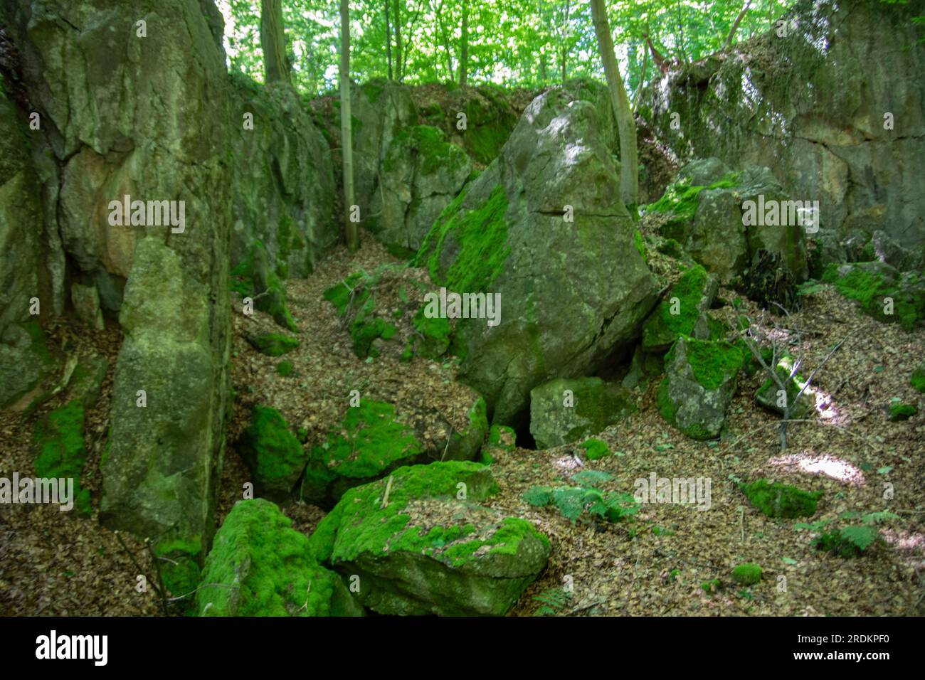 Felsenmeer in Hemer with huge rock formations in the forest Stock Photo ...