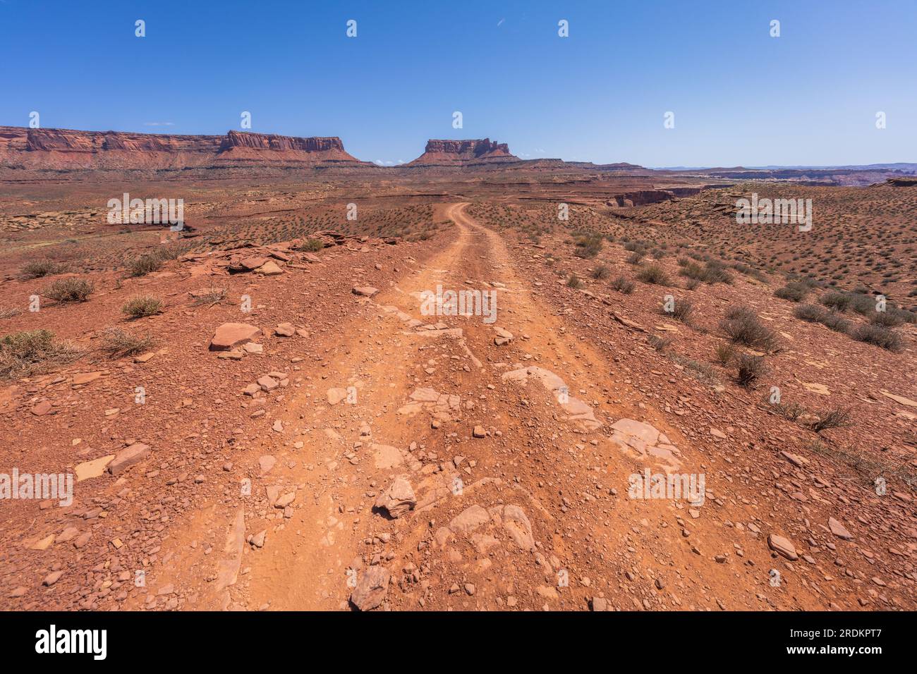hiking the murphy trail loop in the island in the sky in canyonlands ...