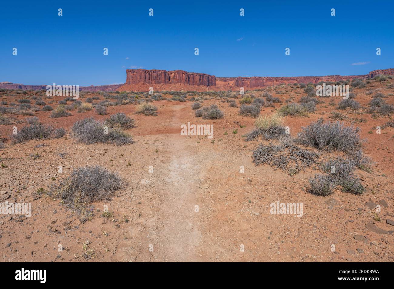 hiking the murphy trail loop in the island in the sky in canyonlands ...
