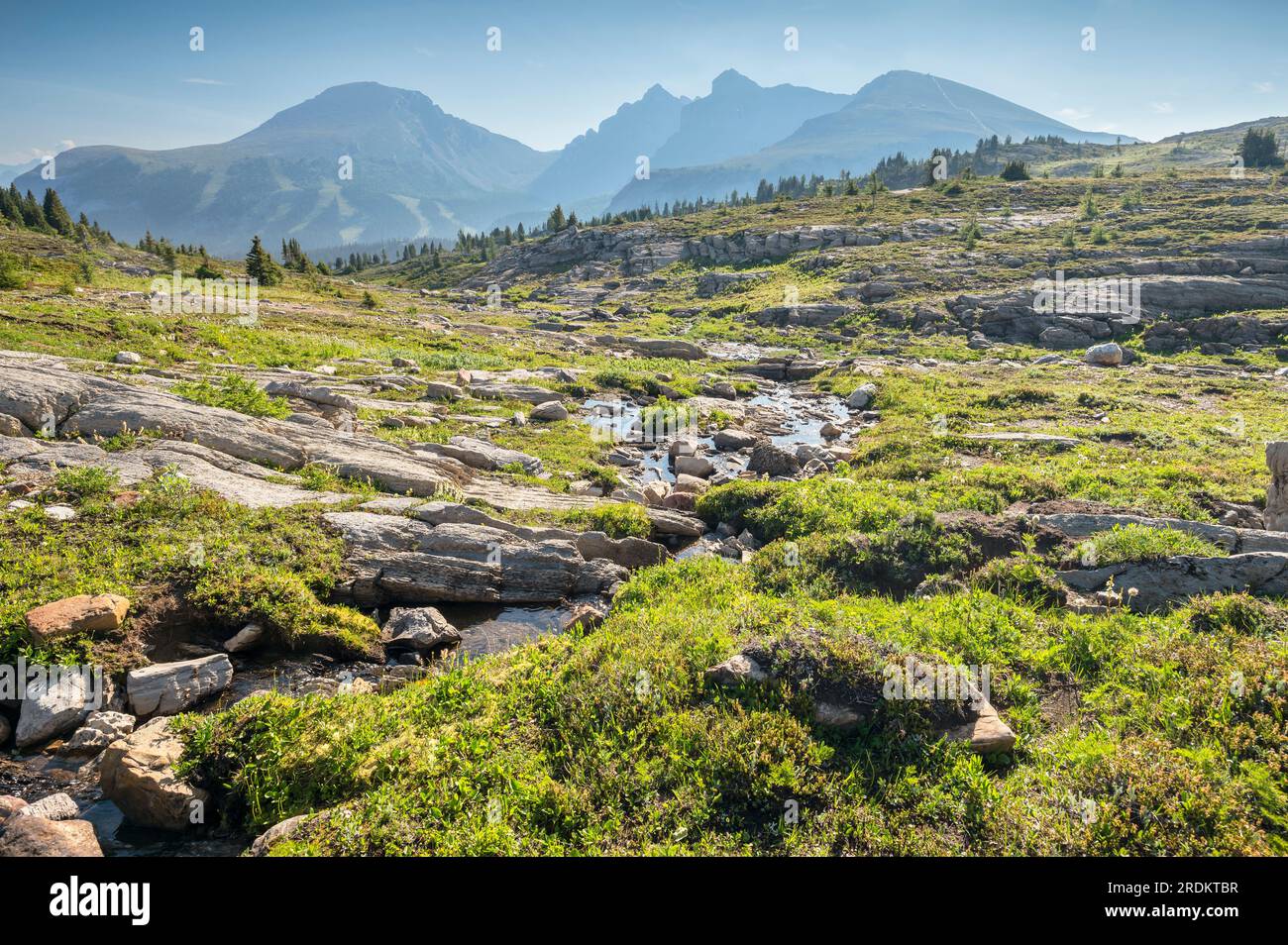 Mountain top stream in Sunshine Meadows in Banff National Park, Alberta ...