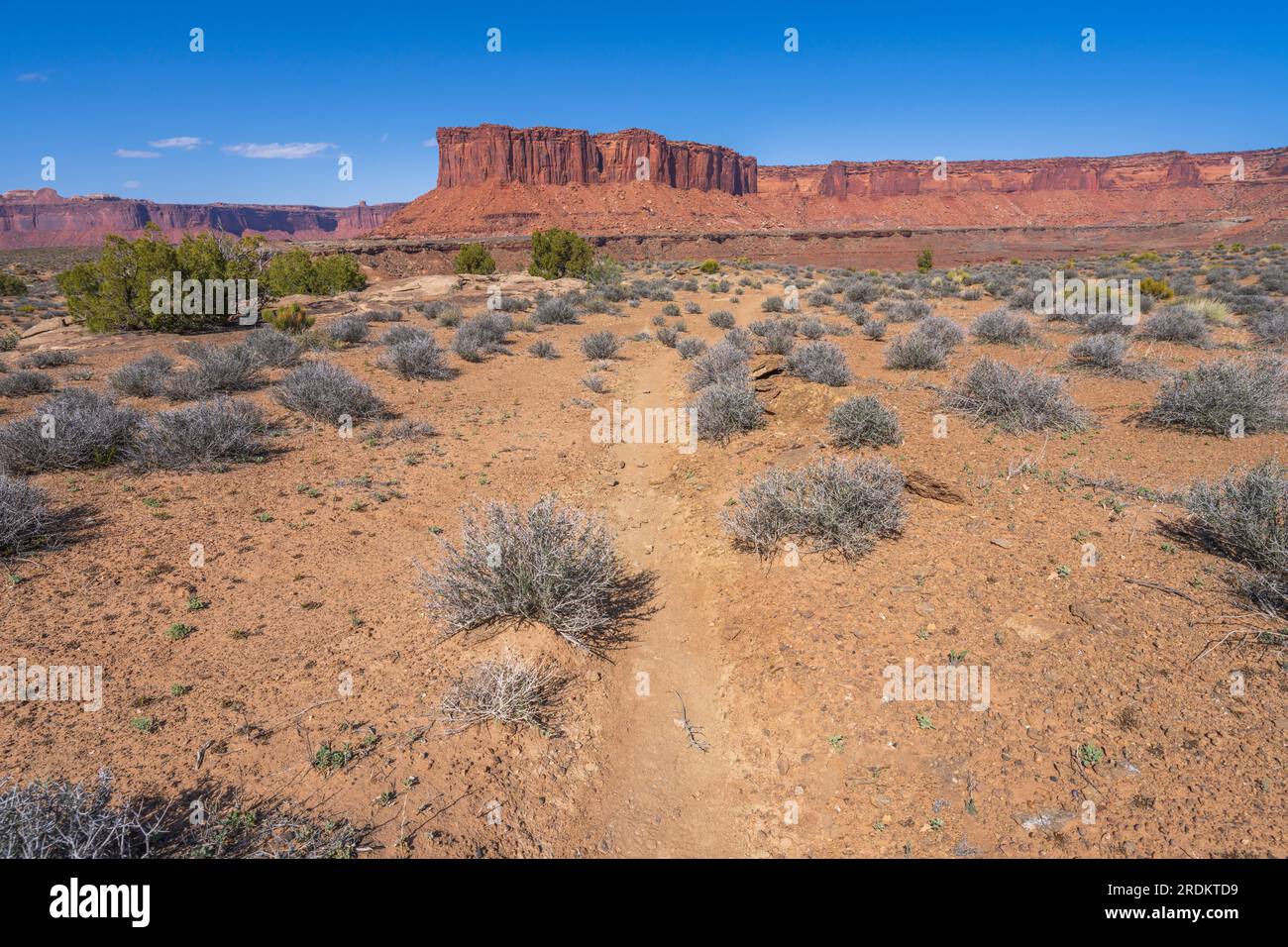 hiking the murphy trail loop in the island in the sky in canyonlands ...