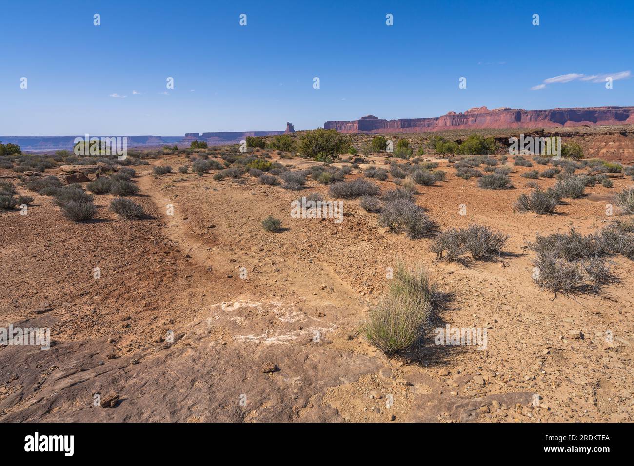 hiking the murphy trail loop in the island in the sky in canyonlands ...