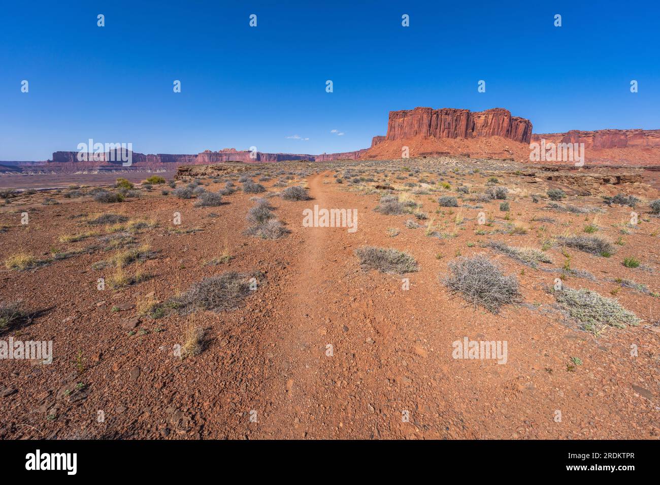 hiking the murphy trail loop in the island in the sky in canyonlands ...