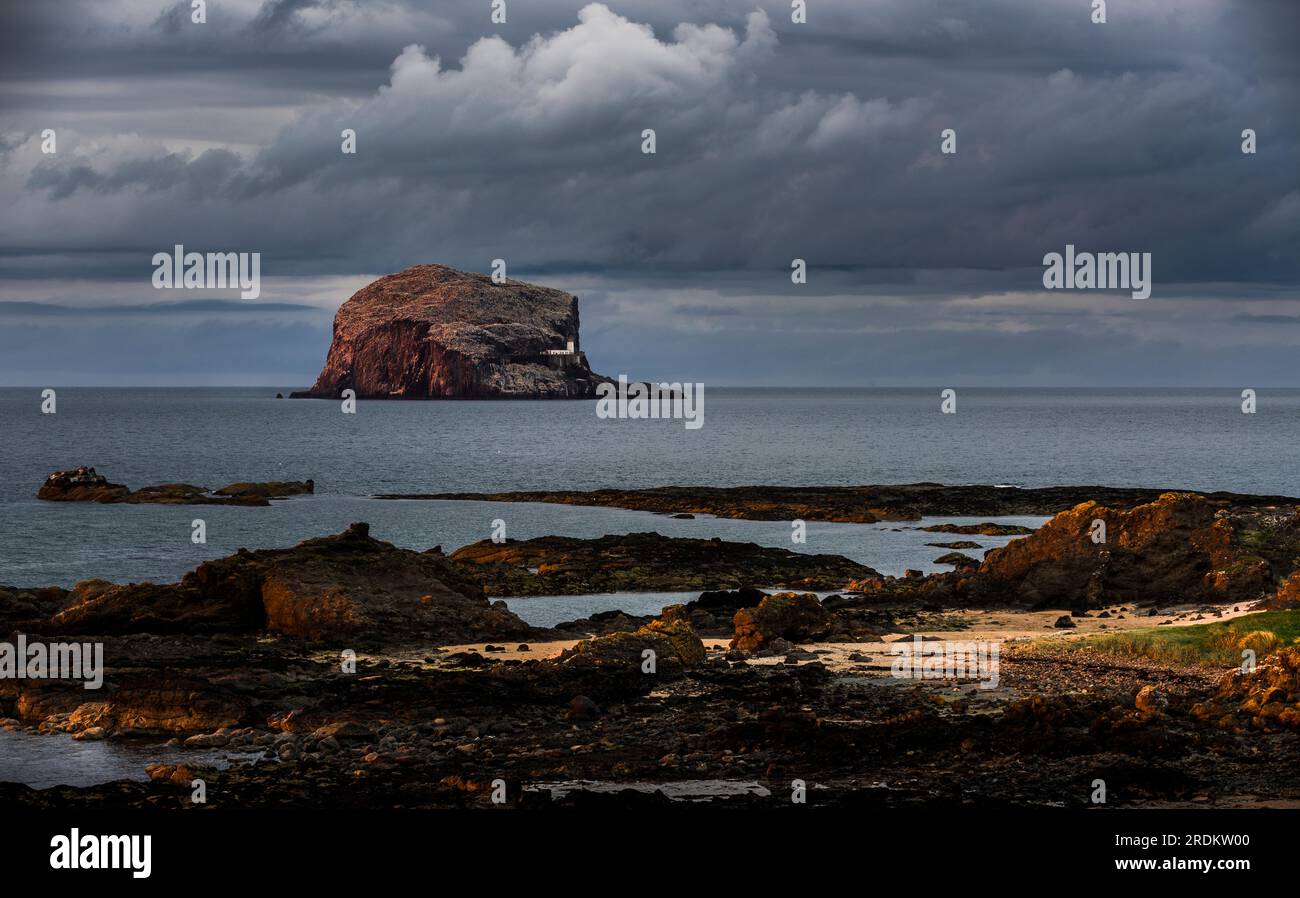 Bass Rock gannet colony and foreshore lit by warm light from low ...