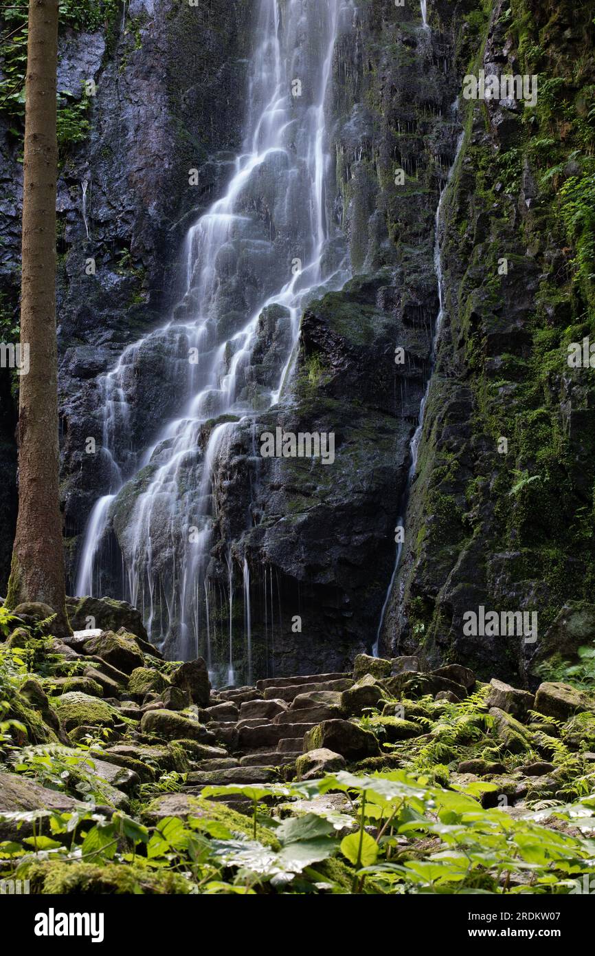 The Burgbach Waterfall in the coniferous forest falls over granite ...