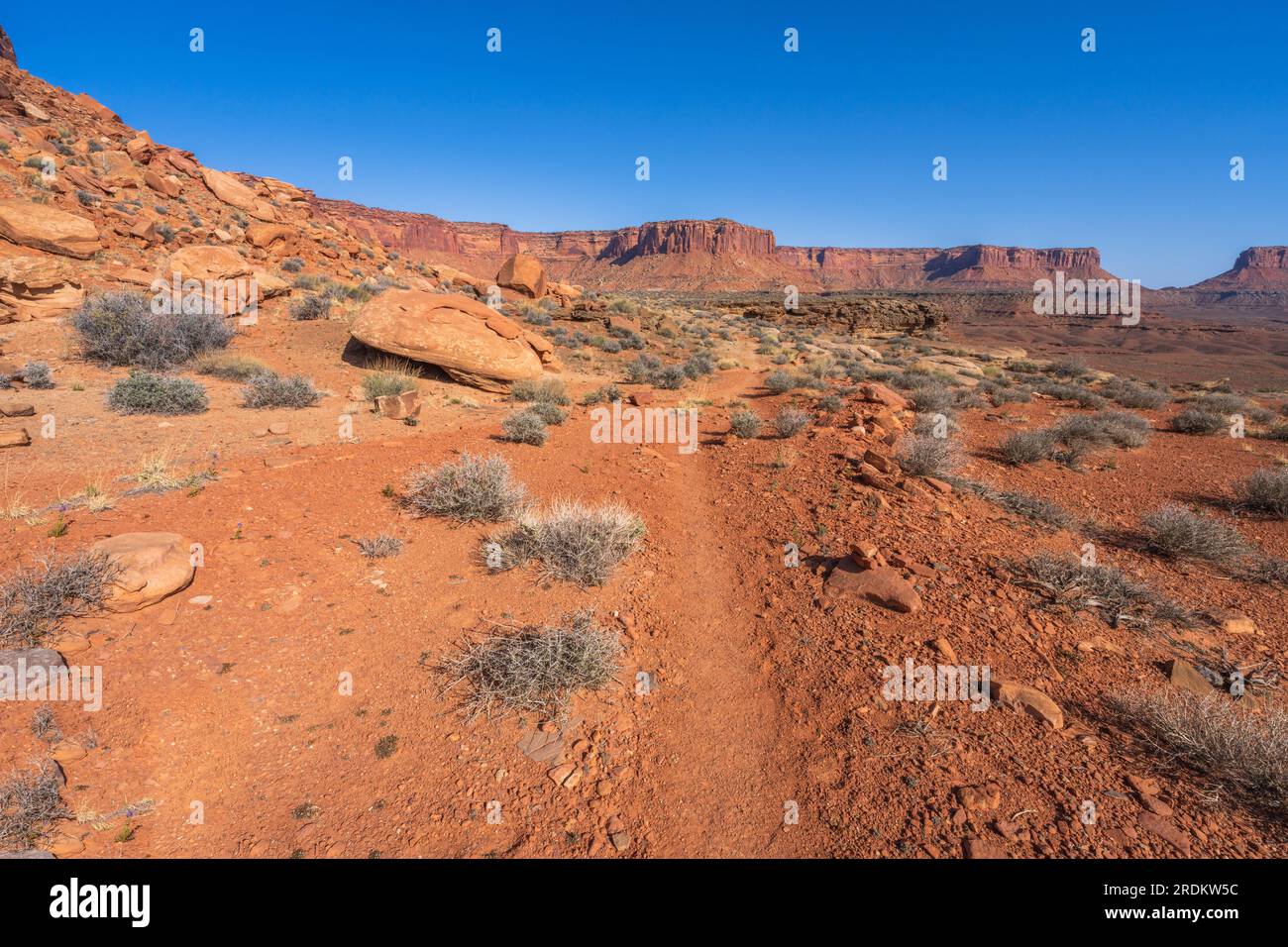 hiking the murphy trail loop in the island in the sky in canyonlands ...