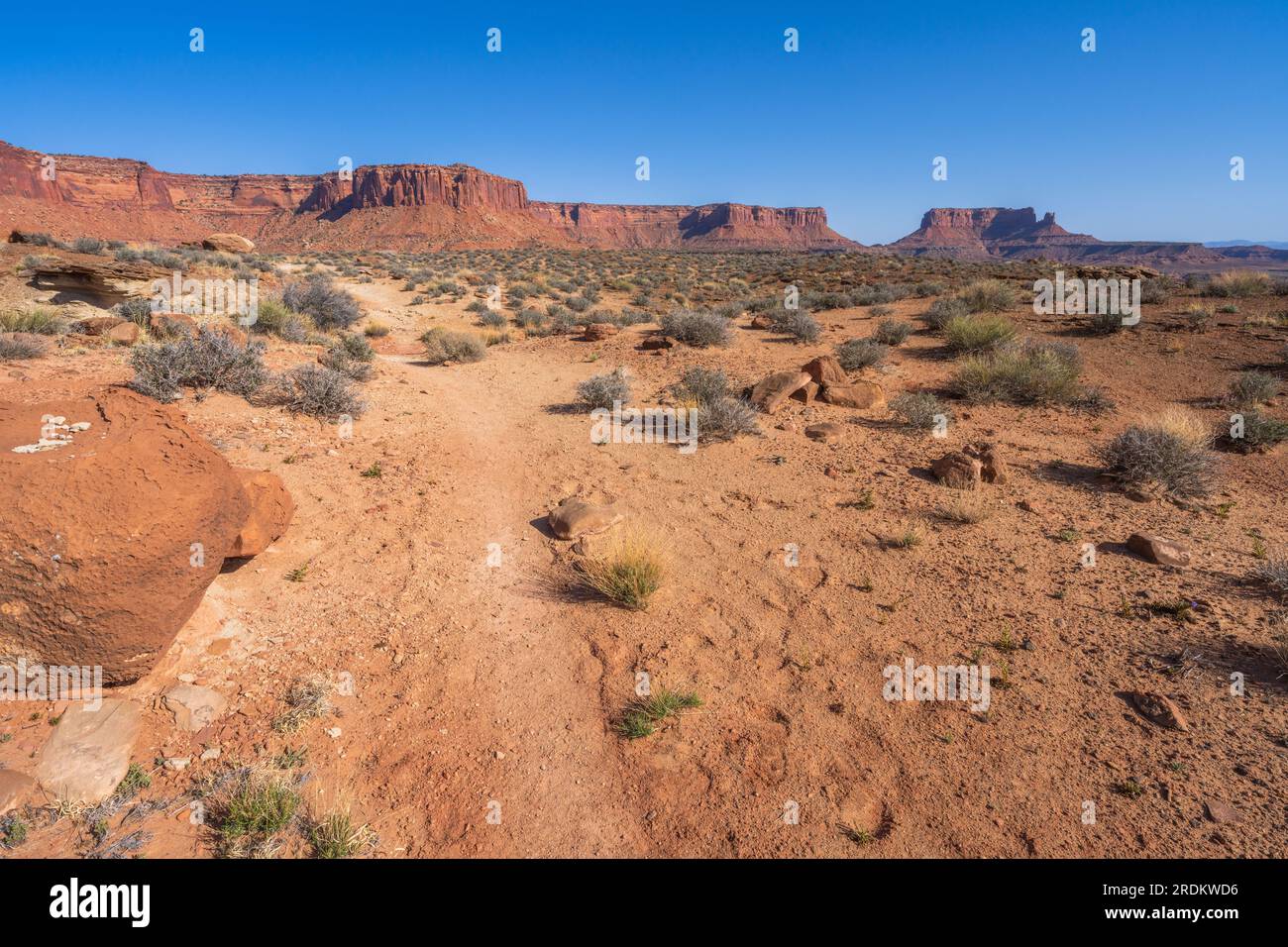 hiking the murphy trail loop in the island in the sky in canyonlands ...