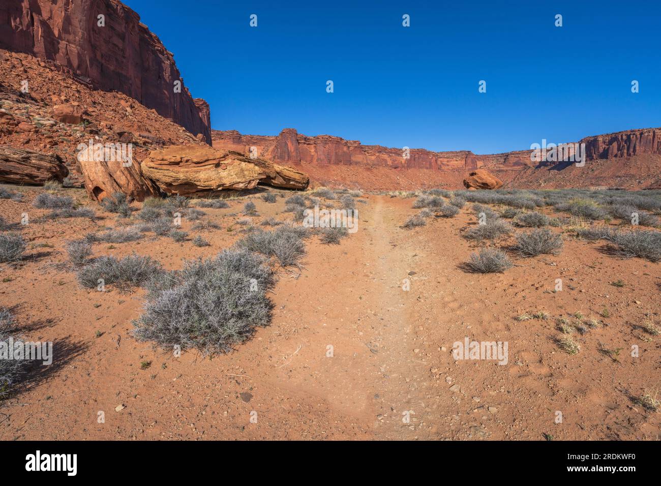 hiking the murphy trail loop in the island in the sky in canyonlands ...