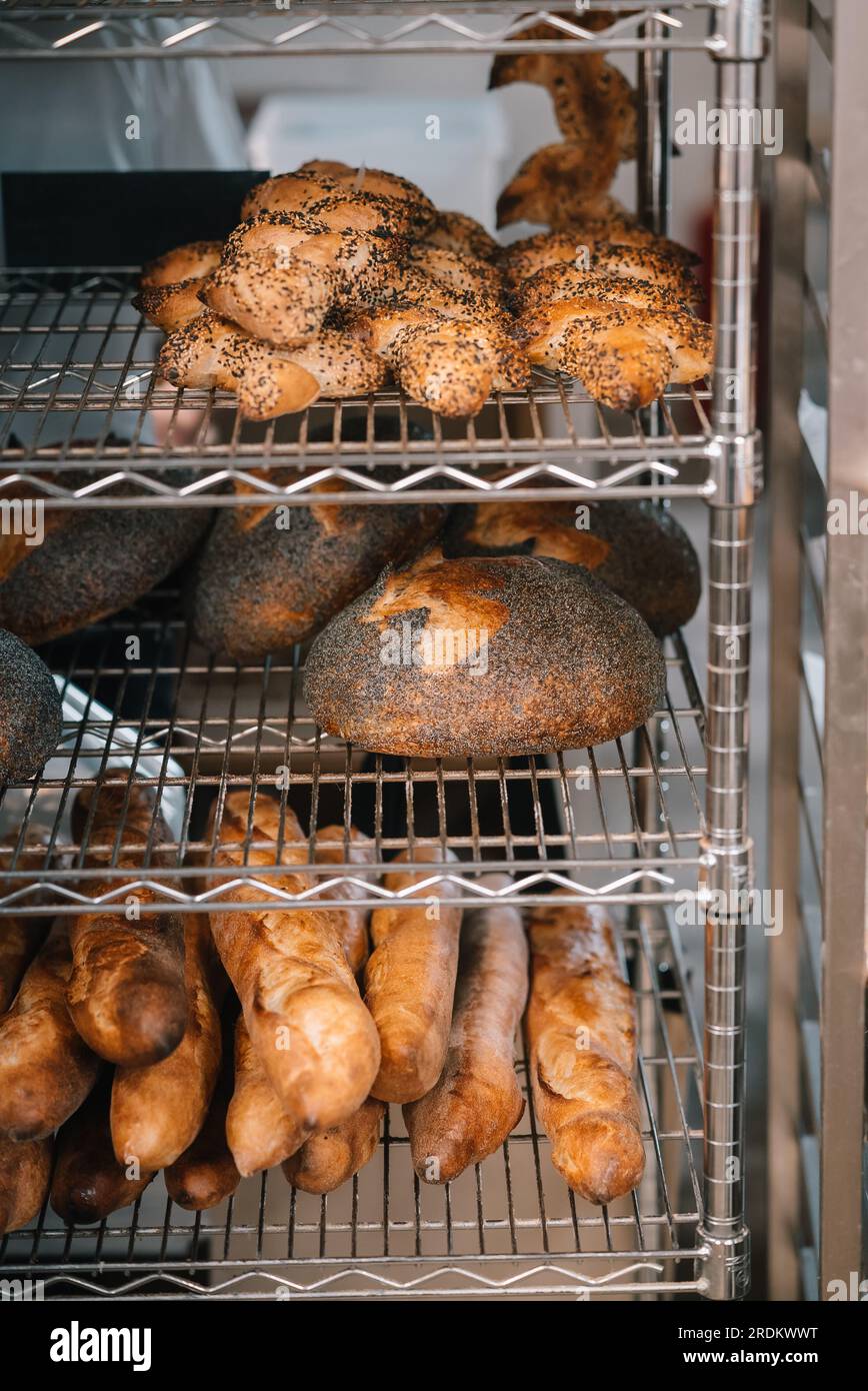 Assorted freshly baked bread types displayed on the oven racks Stock ...