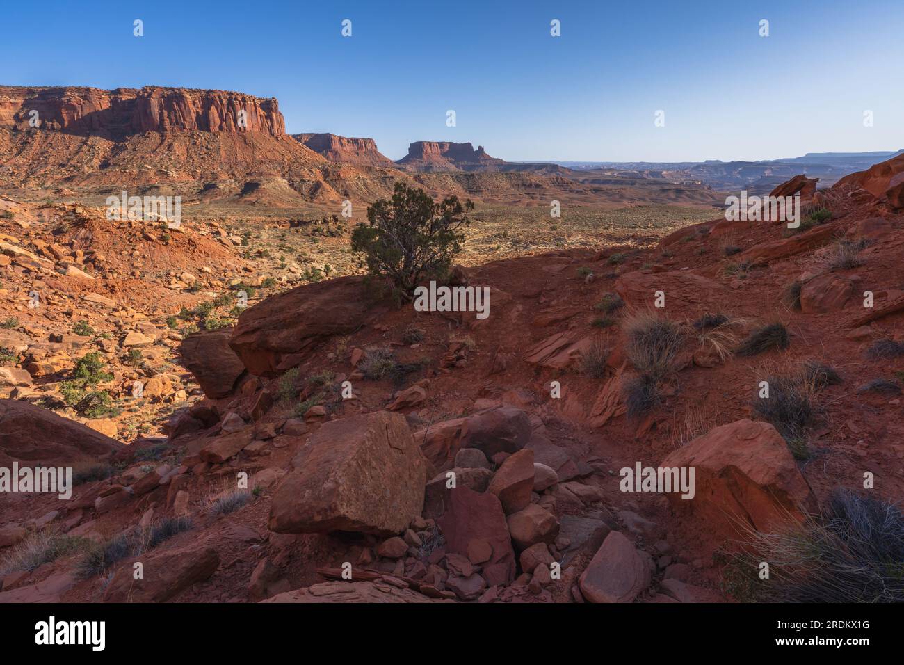hiking the murphy trail loop in the island in the sky in canyonlands ...