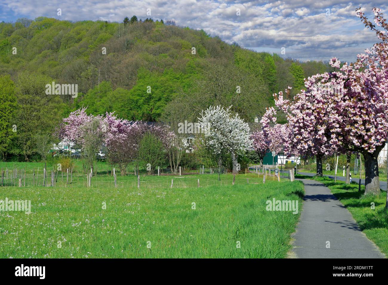 Solingen fruit trail hi-res stock photography and images - Alamy