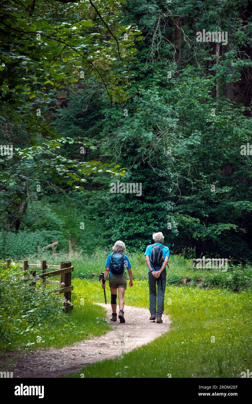 Wayfarer’s path hi-res stock photography and images - Alamy