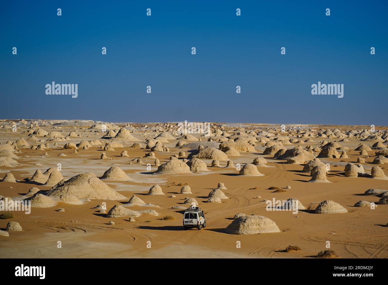 Calcified limestone rocks hi-res stock photography and images - Alamy