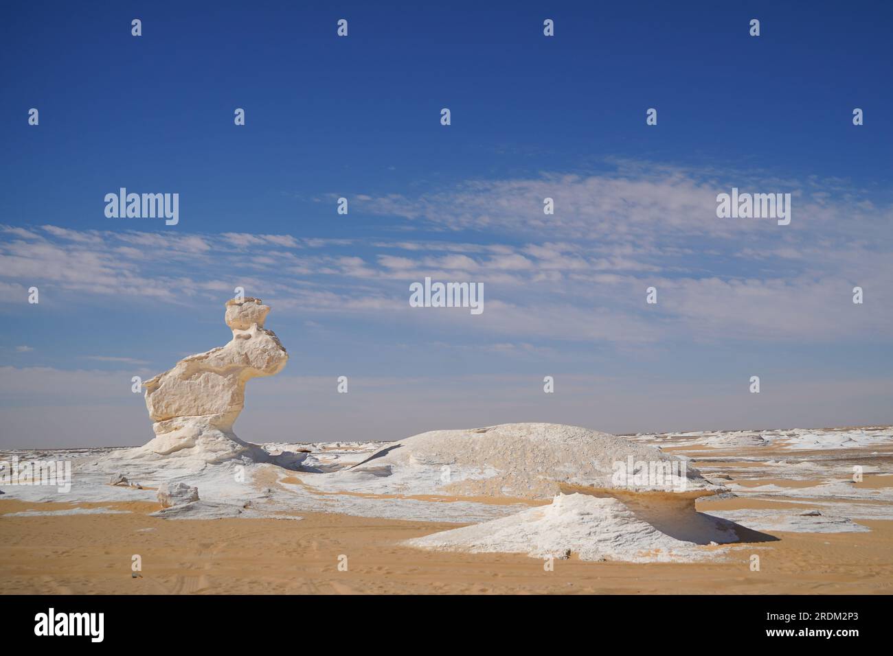 A calcified limestone formation resembles a rabbit in the White Desert ...