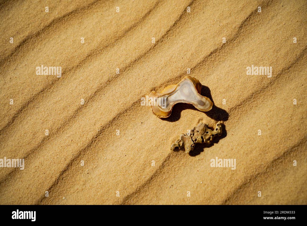 Two weathering stones seen on the sand of White Desert in Egypt. From ...