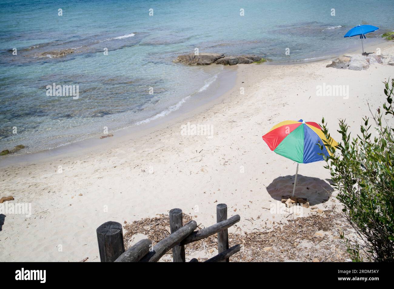 Violina hi-res stock photography and images - Alamy