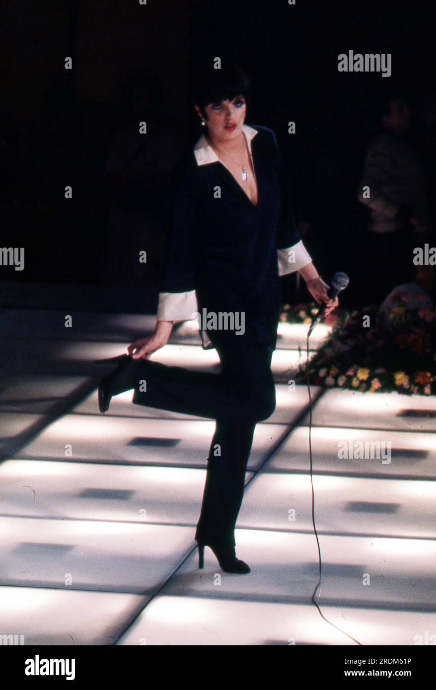 Liza Minnelli, American actress, singer, dancer, during a TV ...