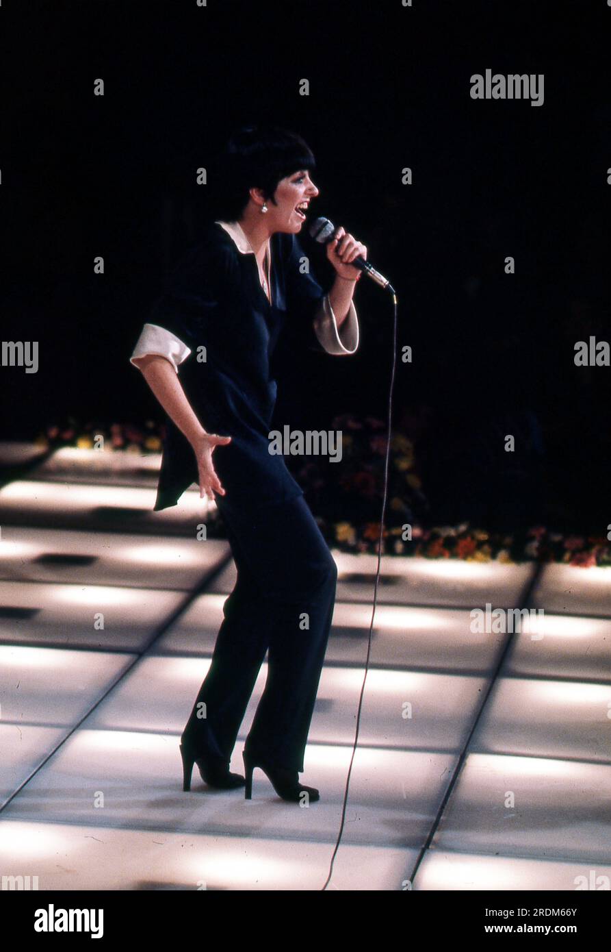 Liza Minnelli, American actress, singer, dancer, during a TV ...