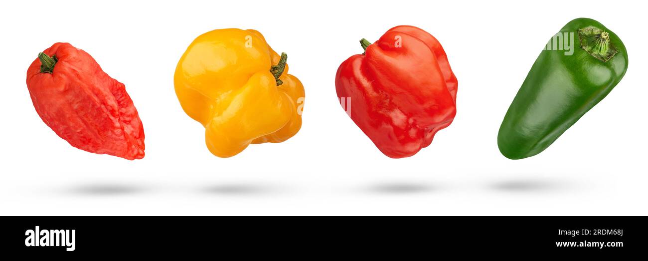 A set of peppers of different varieties, colors and sizes isolated on a ...