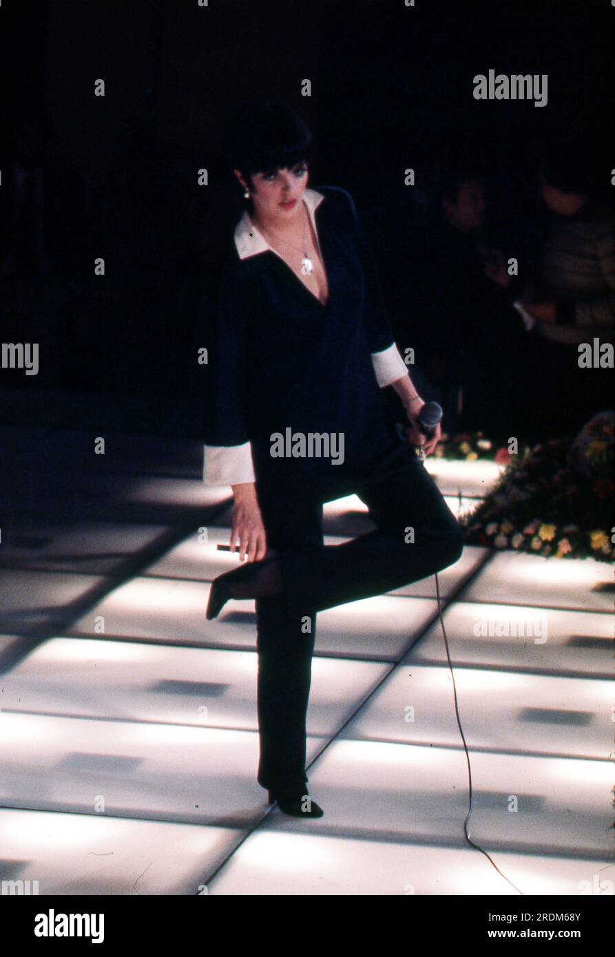 Liza Minnelli, American actress, singer, dancer, during a TV ...