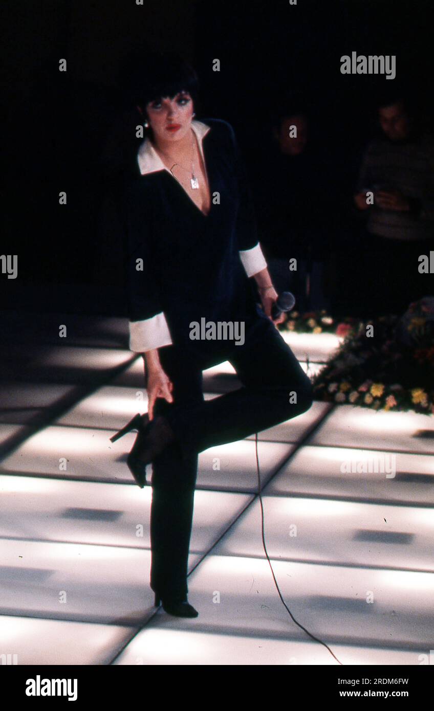 Liza Minnelli, American actress, singer, dancer, during a TV ...