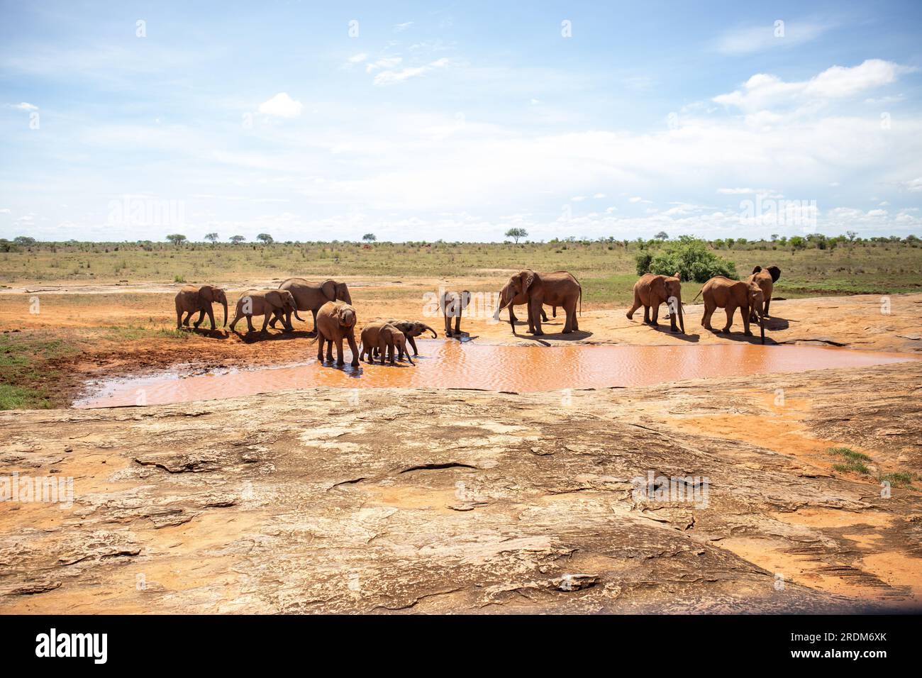 Beautiful African Safari Landscape Africa Safari Landscape Images