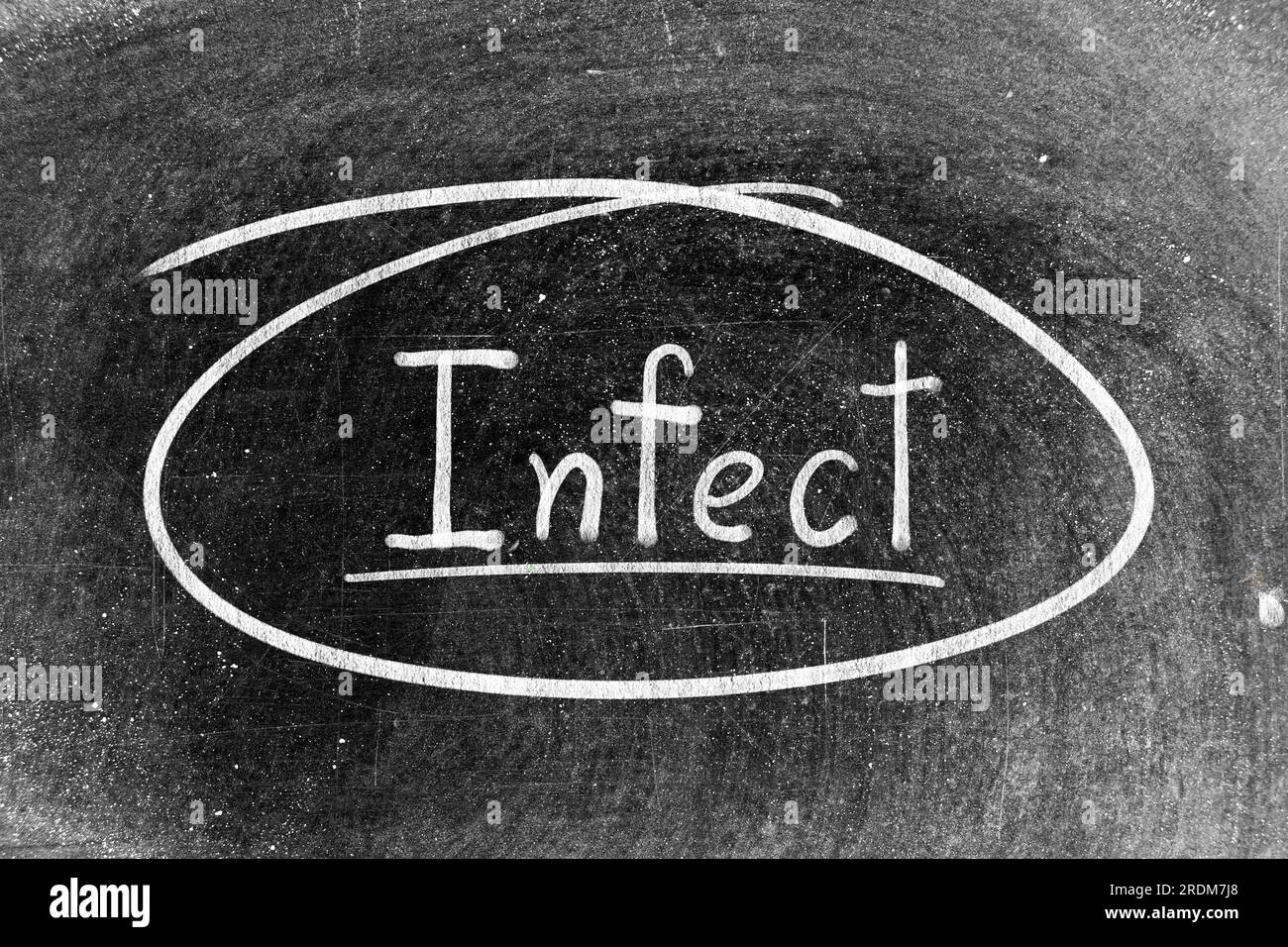White chalk hand writing in word infect and circle shape on blackboard ...