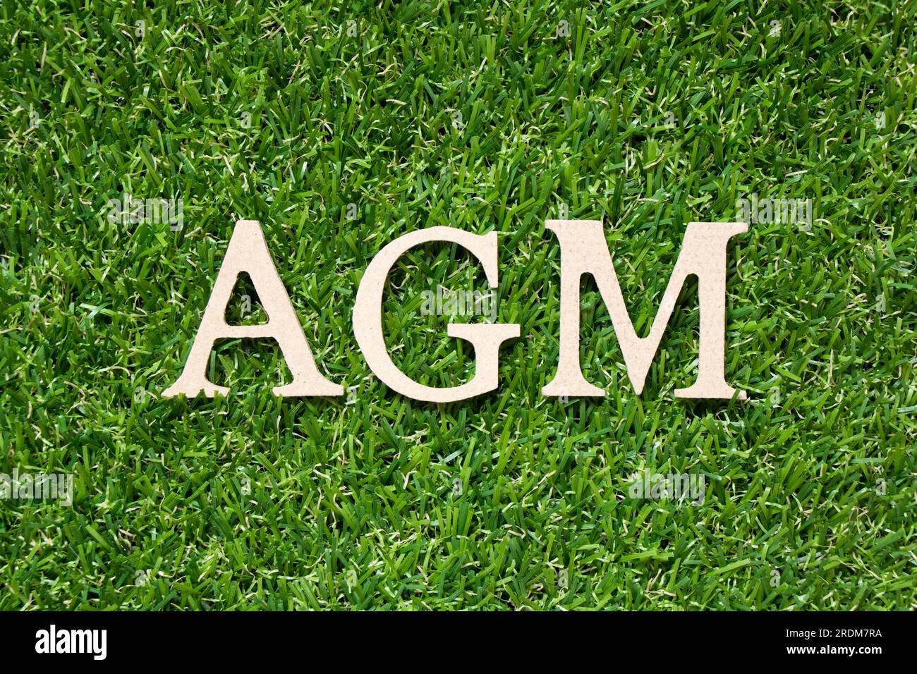 Wood alphabet letter in word AGM (Abbreviation of annual general ...