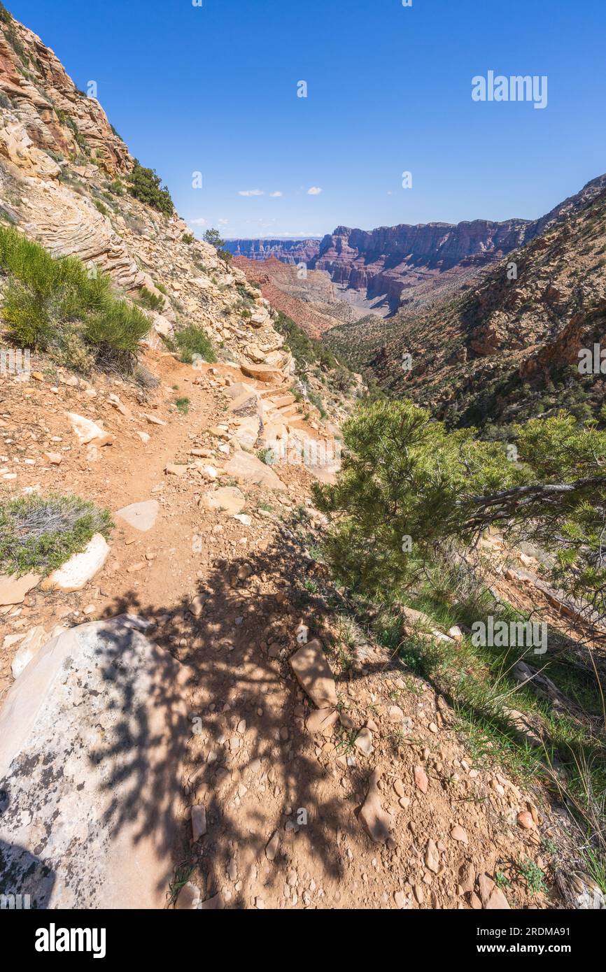 hiking the tanner trail in grand canyon national park in arizona, usa ...