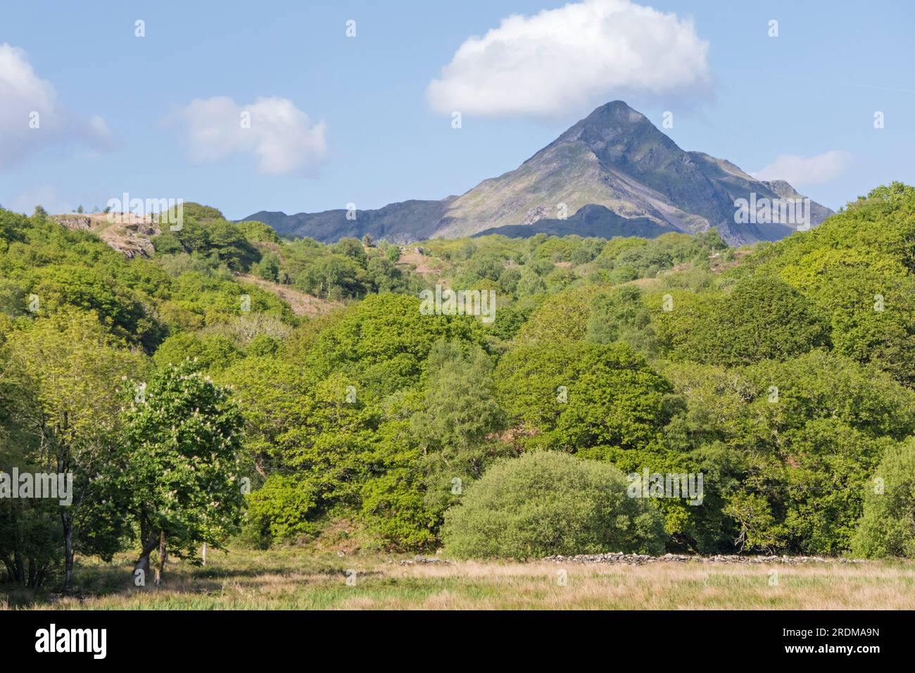 Cnicht mountain, Snowdonia "eryri" National Park, North Wales, UK Stock ...