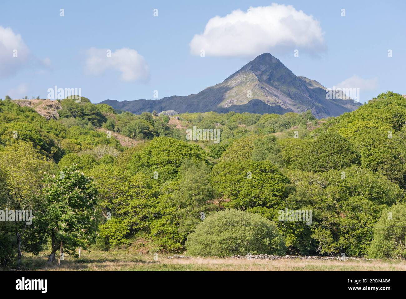 Cnicht mountain, Snowdonia "eryri" National Park, North Wales, UK Stock ...