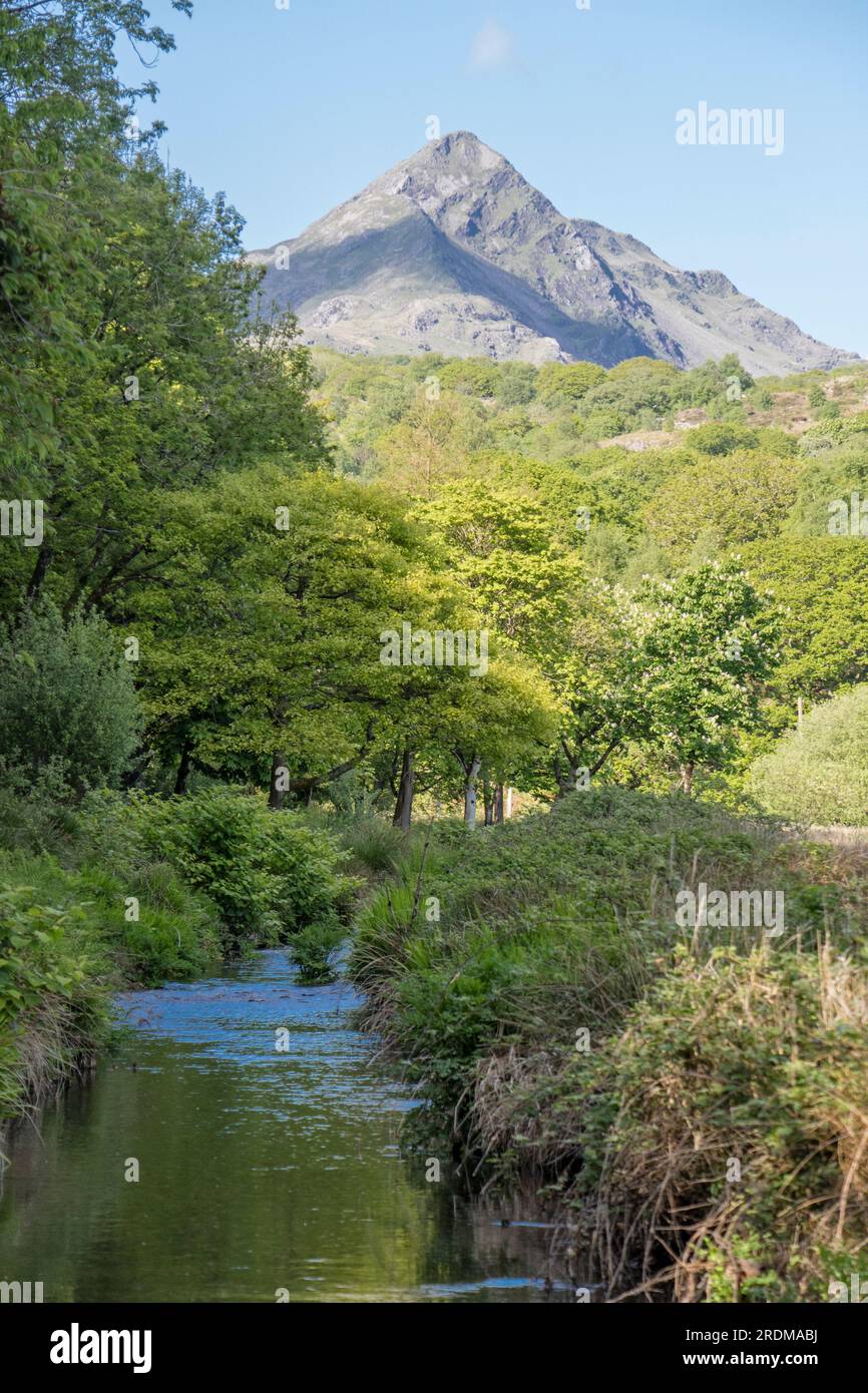 Cnicht mountain, Snowdonia "eryri" National Park, North Wales, UK Stock ...