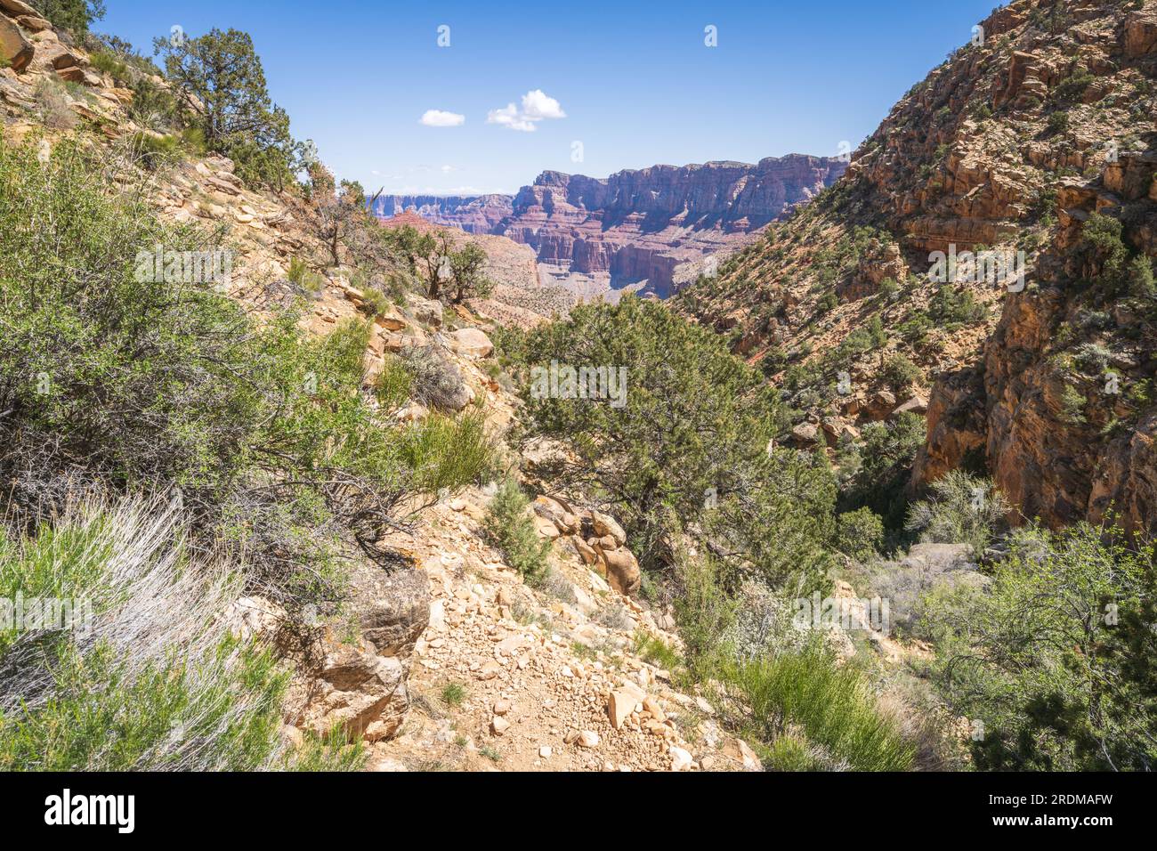 hiking the tanner trail in grand canyon national park in arizona, usa ...