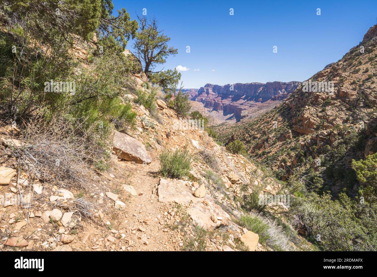 hiking the tanner trail in grand canyon national park in arizona, usa ...