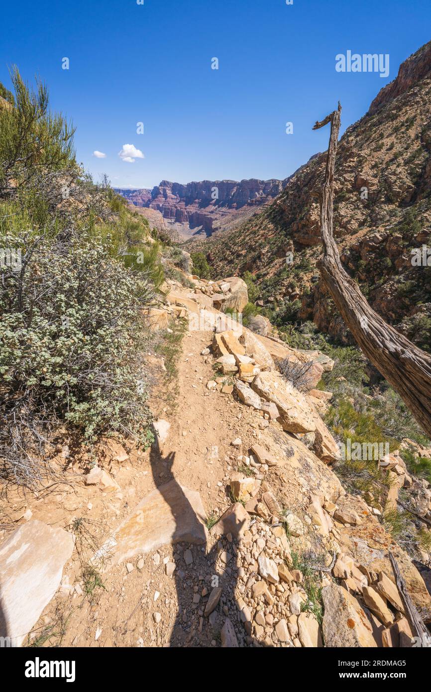 Hiking the tanner trail in grand canyon national park, arizona, usa ...
