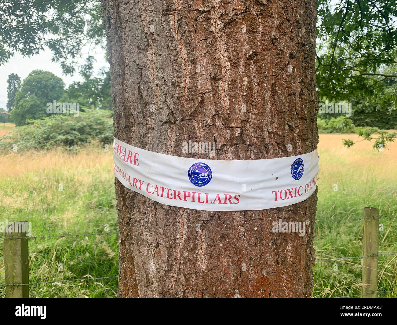 The toxic oak processionary moth hi-res stock photography and images ...
