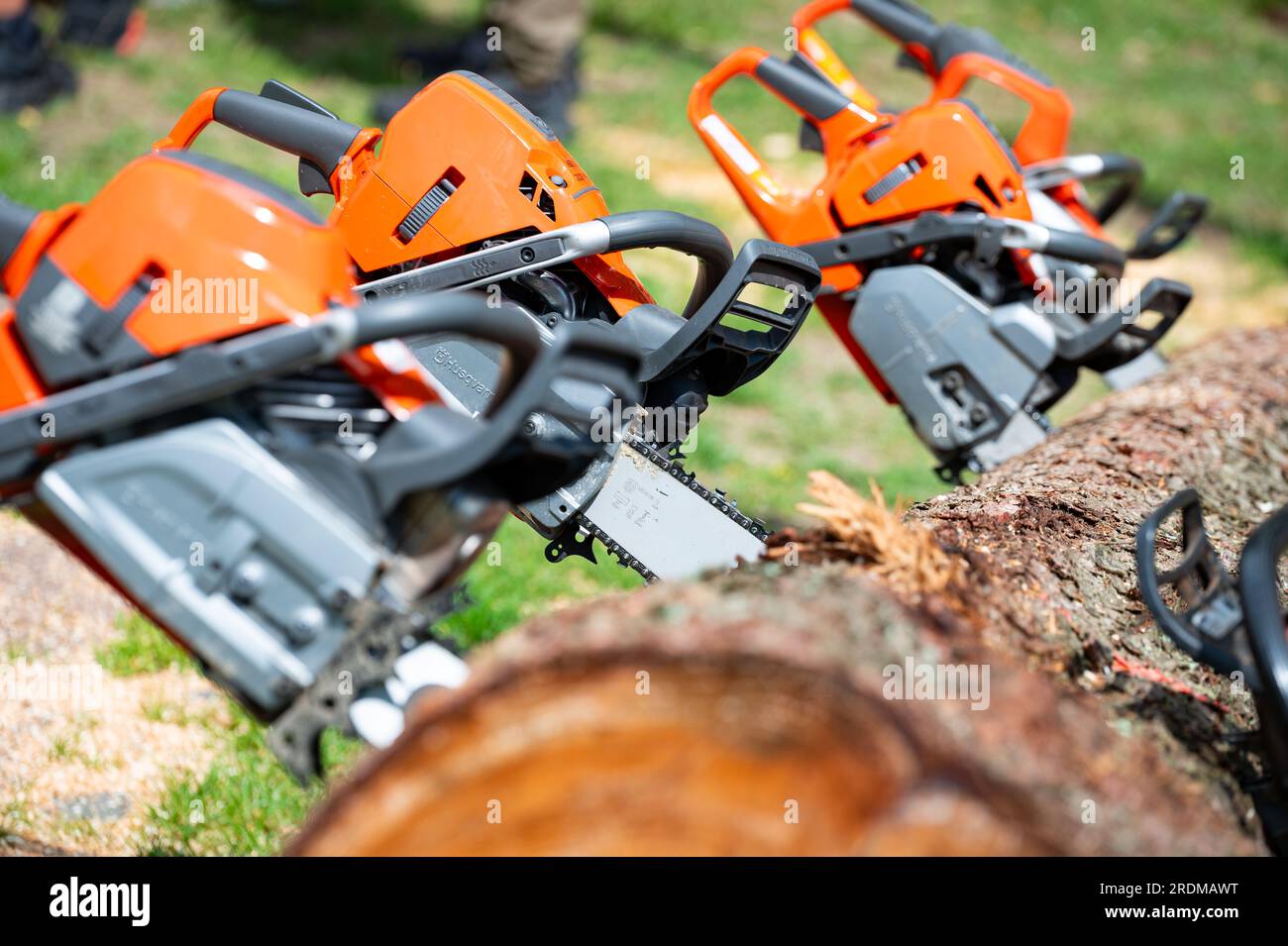 Daldorf, Germany. 22nd July, 2023. Several chainsaws stuck in a log ...