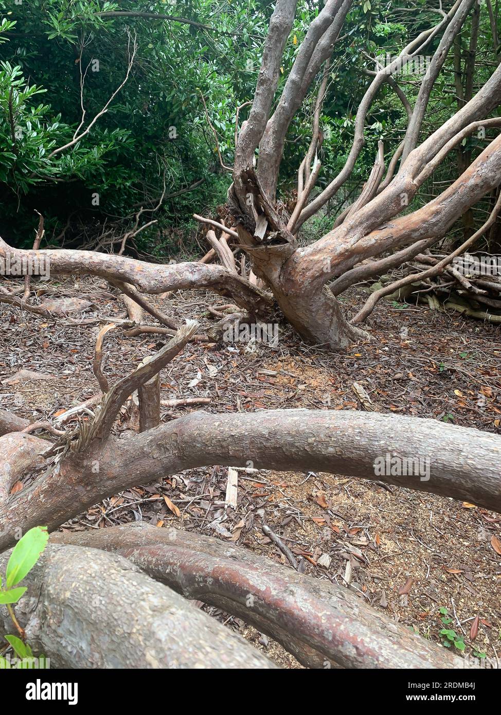 Iver, Buckinghamshire, UK. 21st July, 2023. Some of the old ...