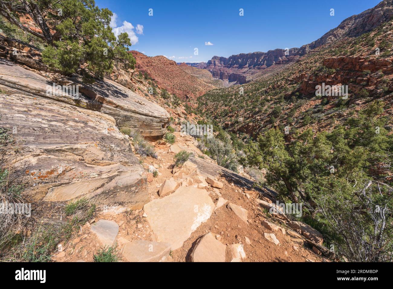 hiking the tanner trail in grand canyon national park in arizona, usa ...