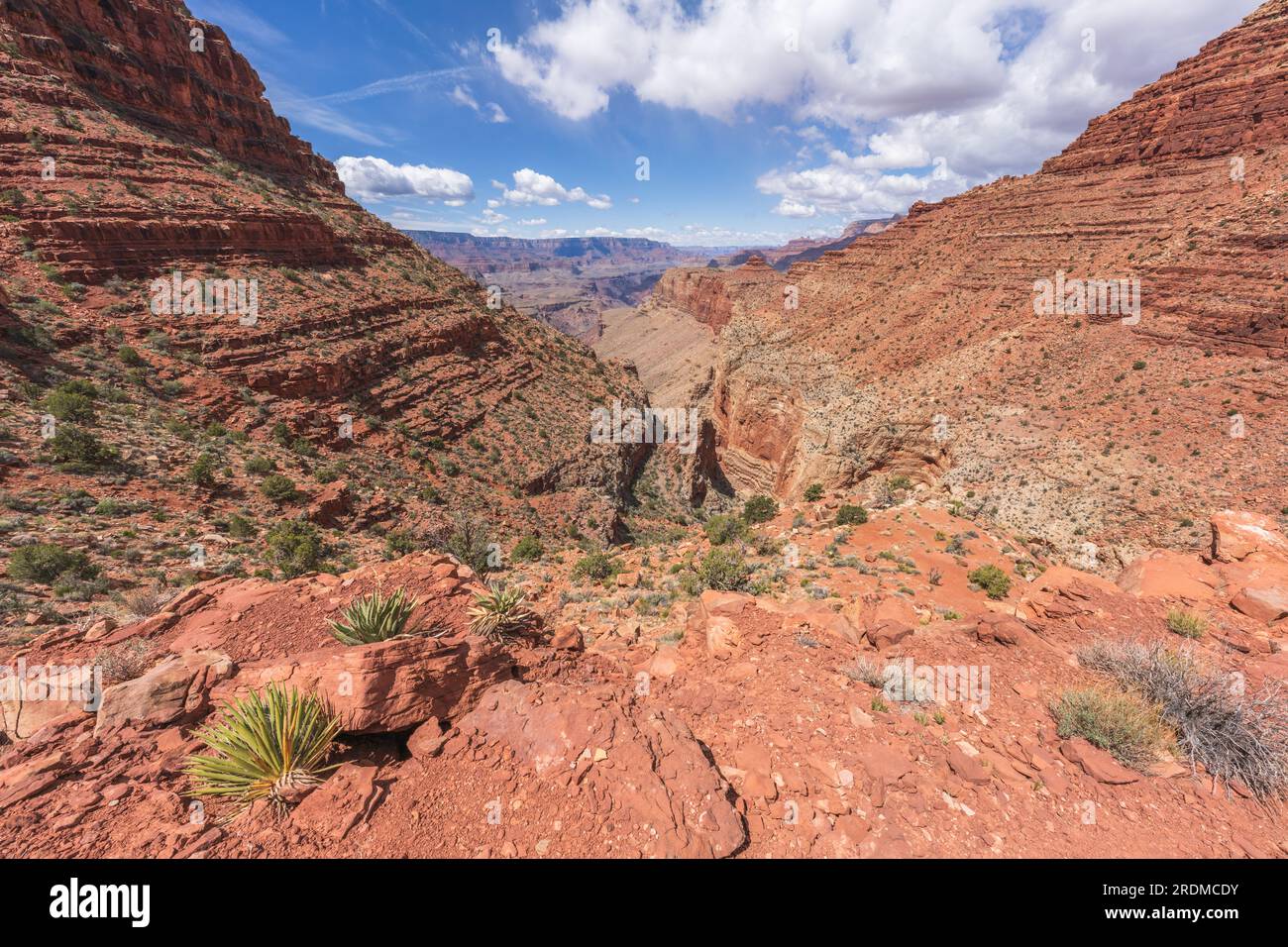 hiking the tanner trail in grand canyon national park in arizona, usa ...