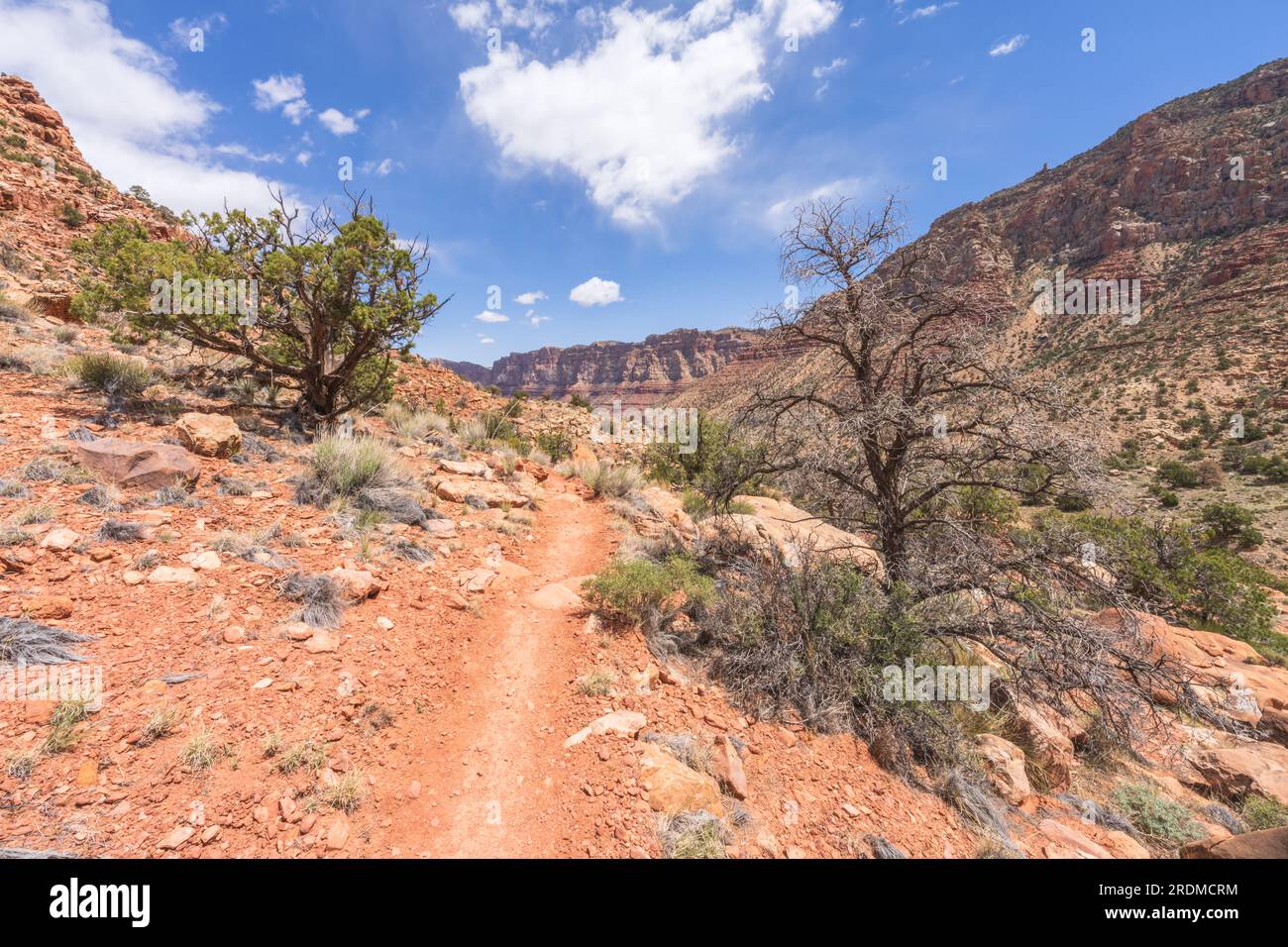 hiking the tanner trail in grand canyon national park in arizona, usa ...