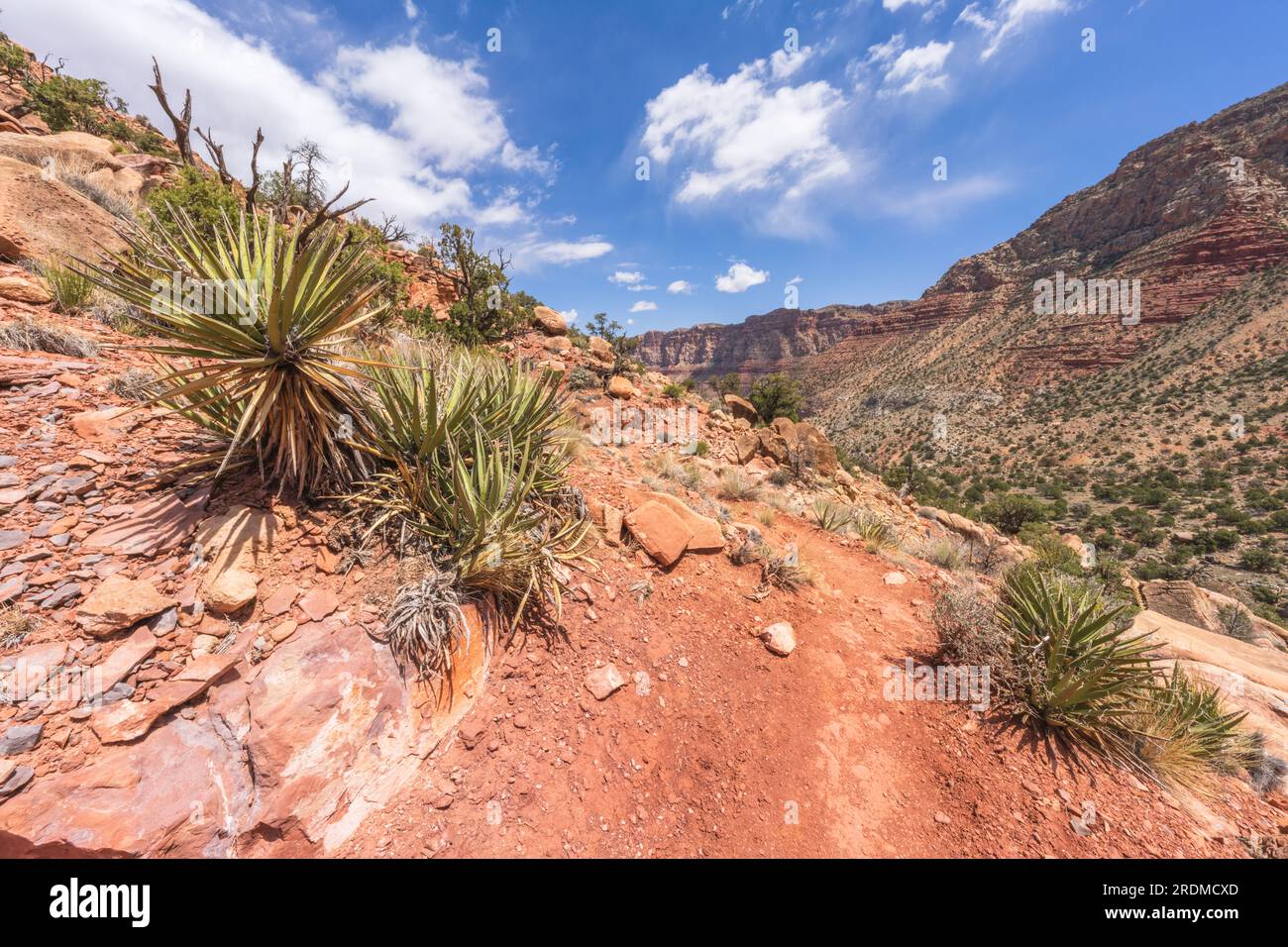 hiking the tanner trail in grand canyon national park in arizona, usa ...