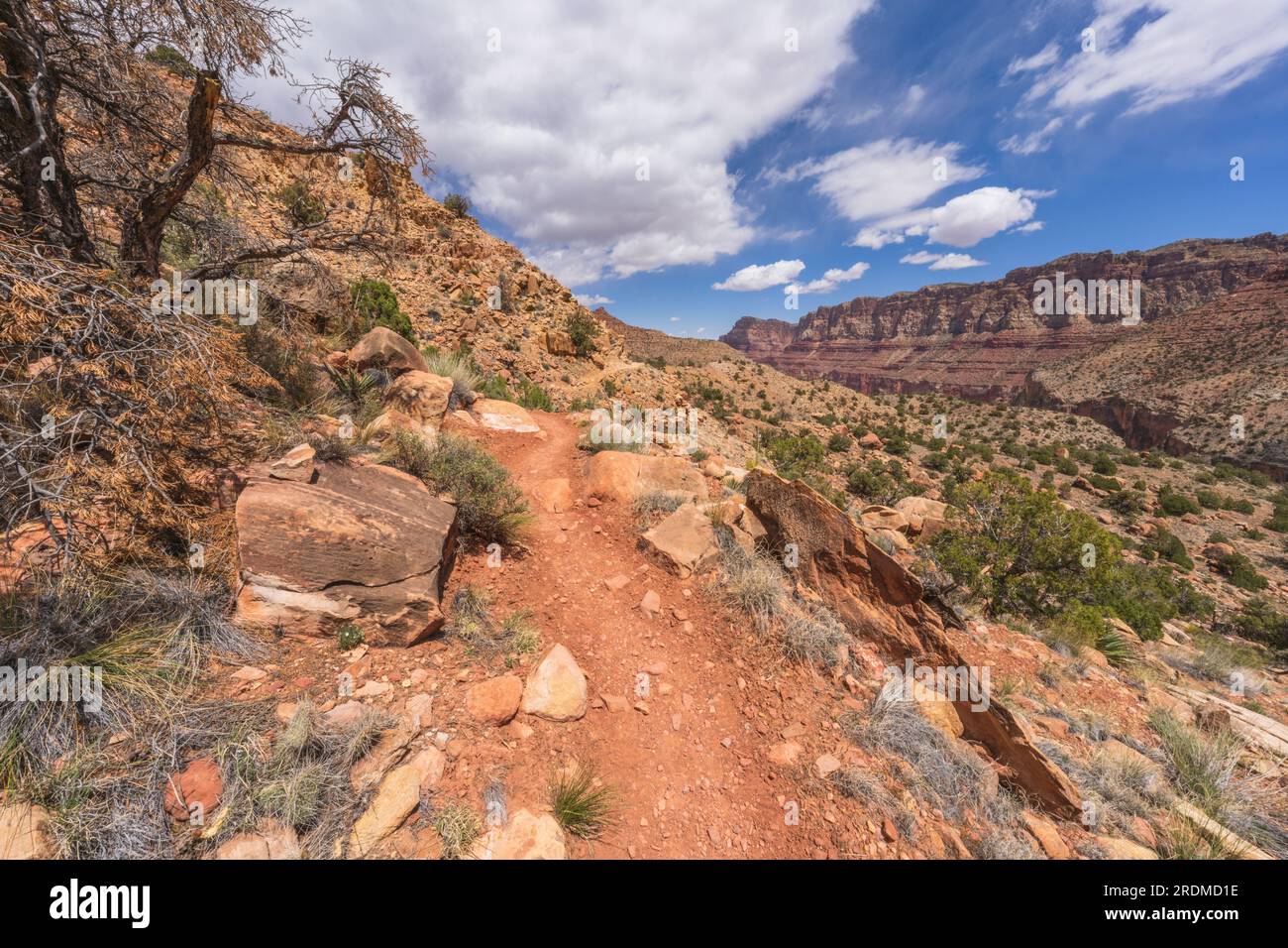 hiking the tanner trail in grand canyon national park in arizona, usa ...