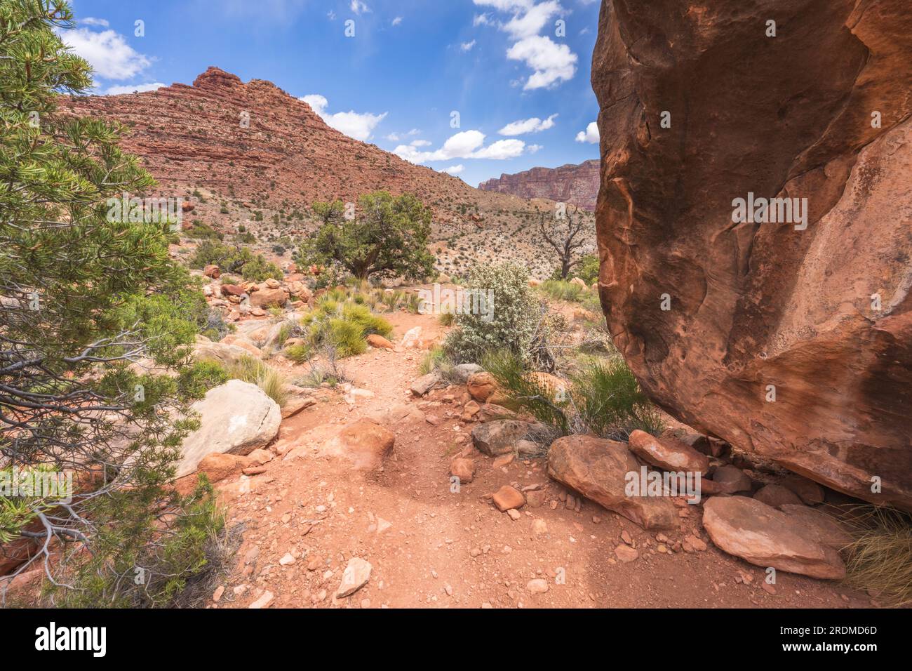 hiking the tanner trail in grand canyon national park in arizona, usa ...