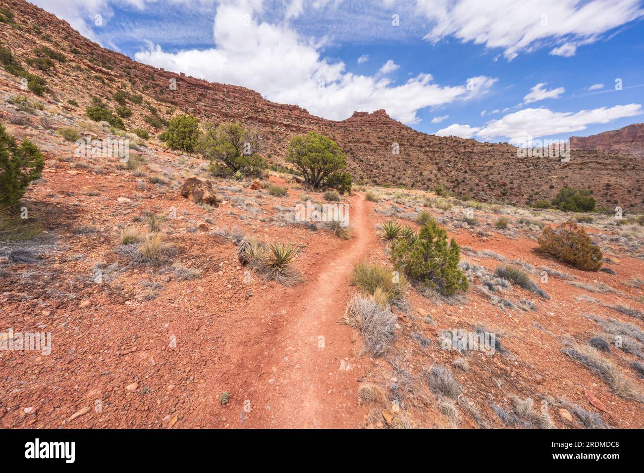 hiking the tanner trail in grand canyon national park in arizona, usa ...