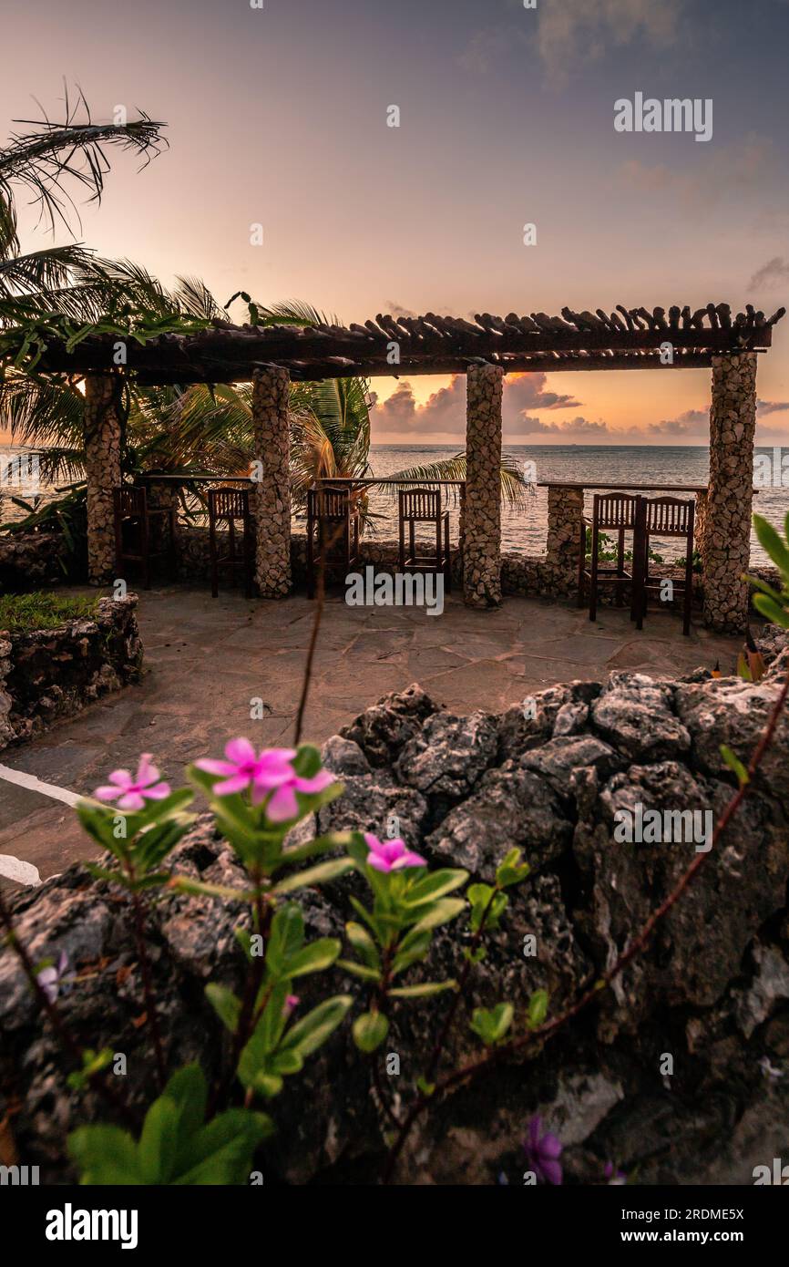 coast kenya mombasa, sunrise at sea. Indian ocean at sunrise, palm ...