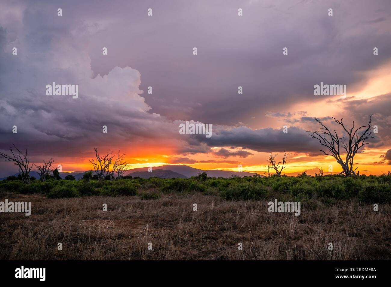 Beautiful landscape in Africa, savanna taken on a safari. beautiful ...