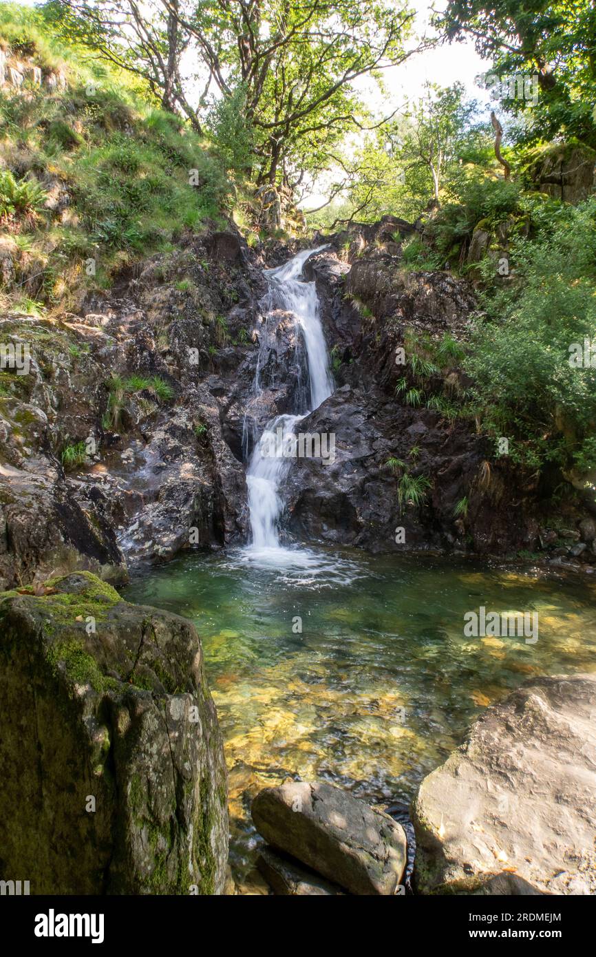 Littlebeck hi-res stock photography and images - Alamy